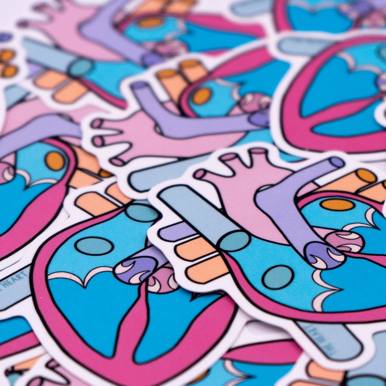 Heart Anatomy Waterproof Sticker Biology Cardiology Gift - Etsy