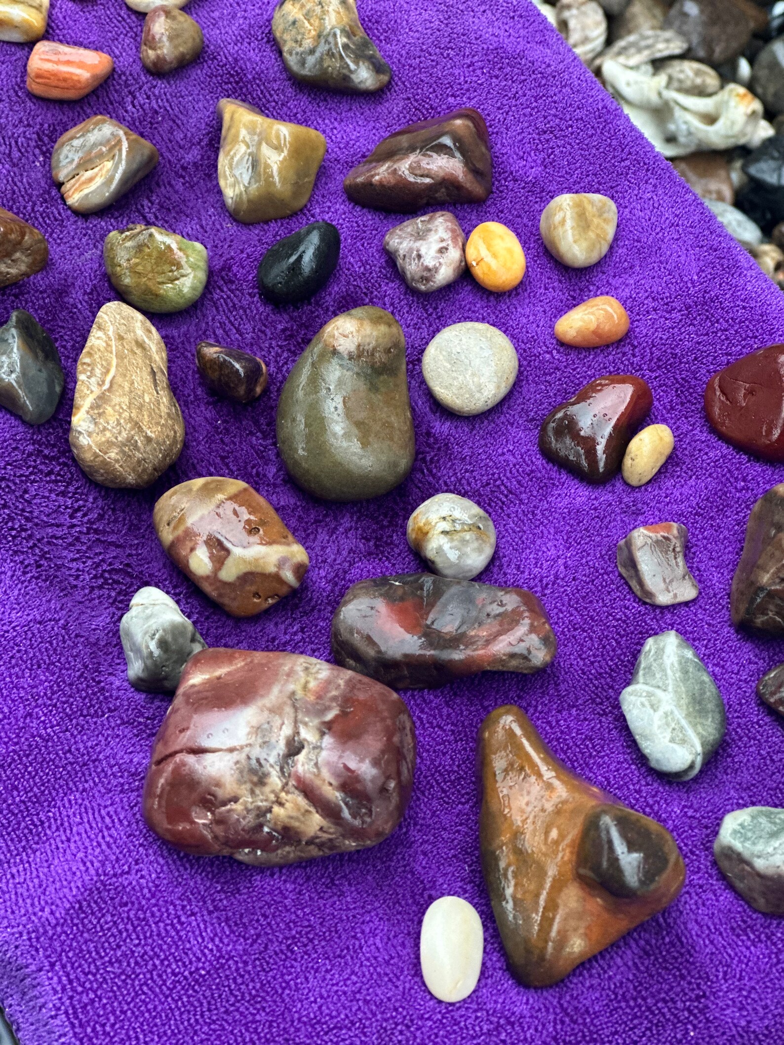 Raw Australian Ocean Tumbled Rocks / Stones Naturally Beach Combed ...