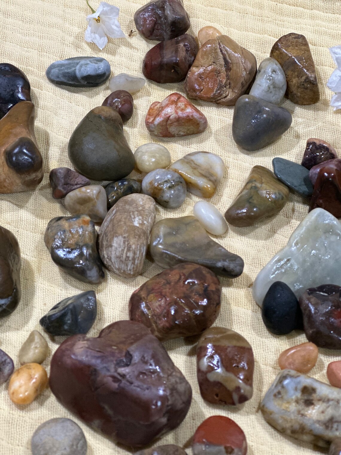 Raw Ocean Tumbled Rocks – 500g Beach Combed Australian Pebbles, Sea ...