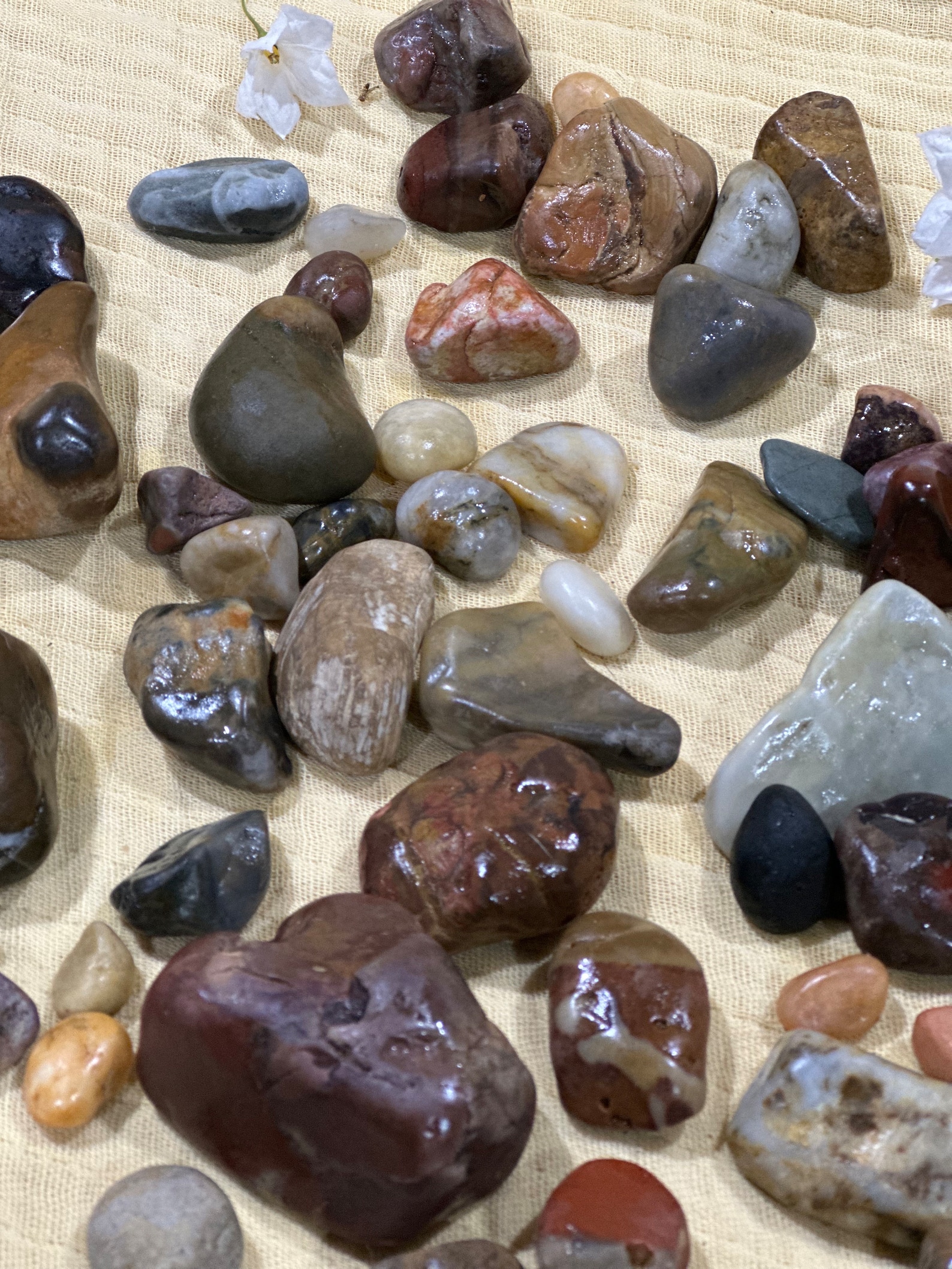 Raw Australian Ocean Tumbled Rocks / Stones Naturally Beach Combed ...