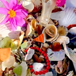Australian Sea Shell & Glass Confetti Mix: Beachcombing Finds (2kgs) - Etsy