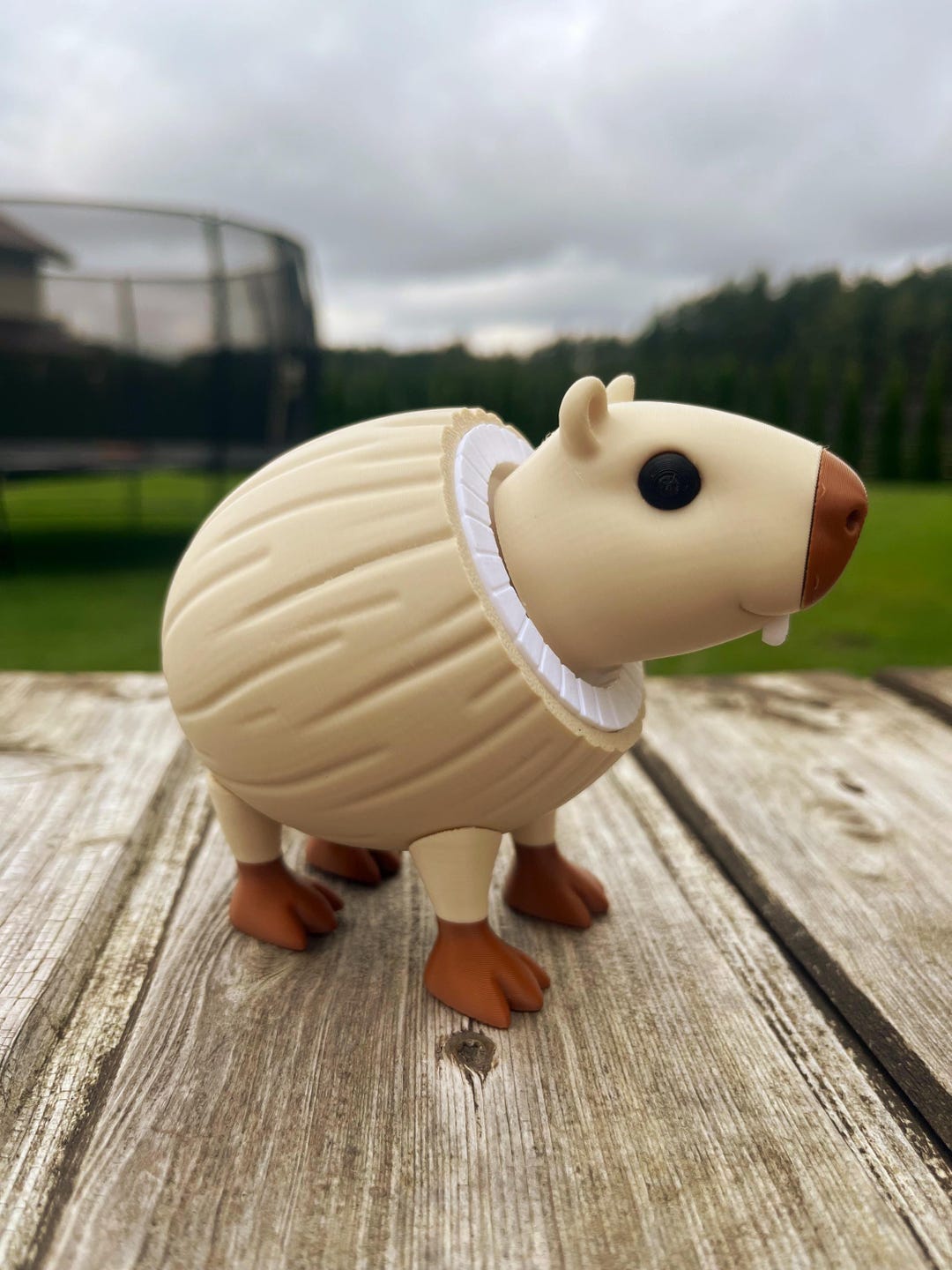 Capybara Coconut Burbaloni Lulliloli - Italian Brainrot Tiktok Meme - Etsy