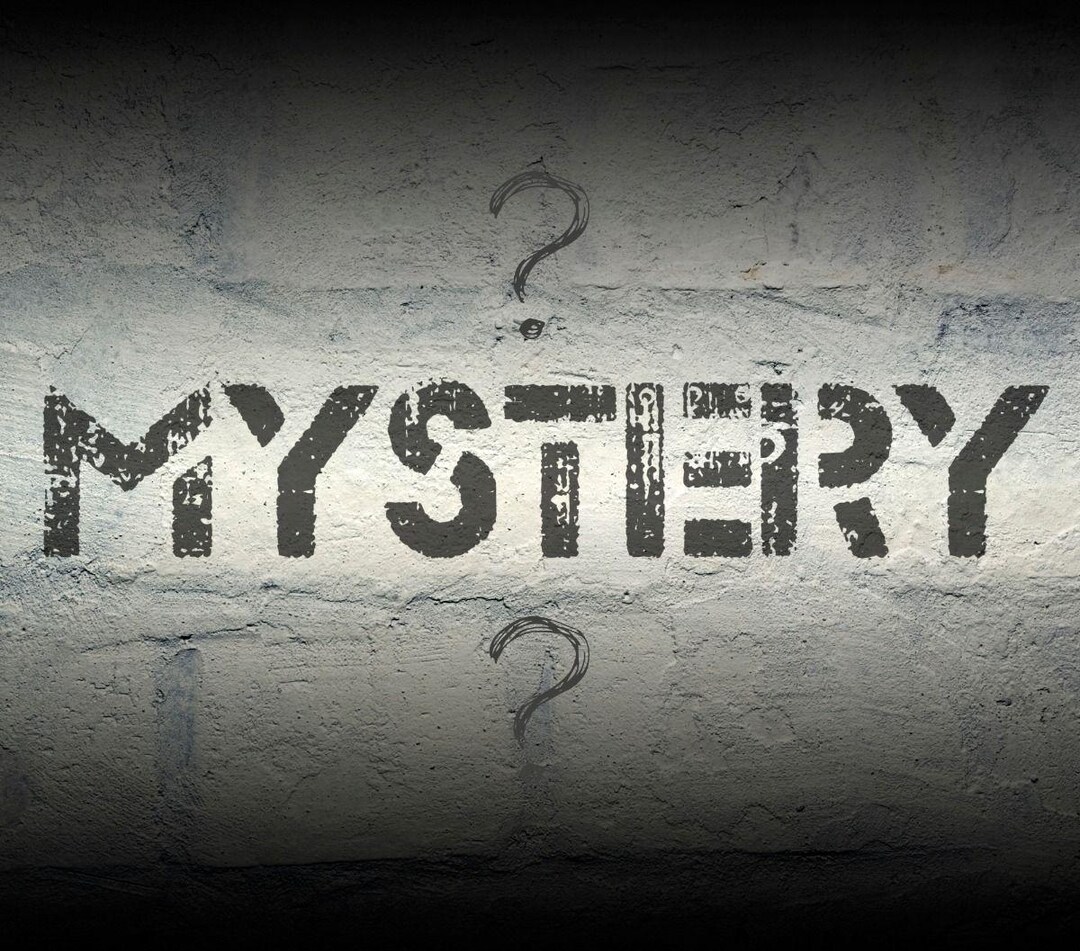 Mystery Vinyl Decal Sticker - Etsy