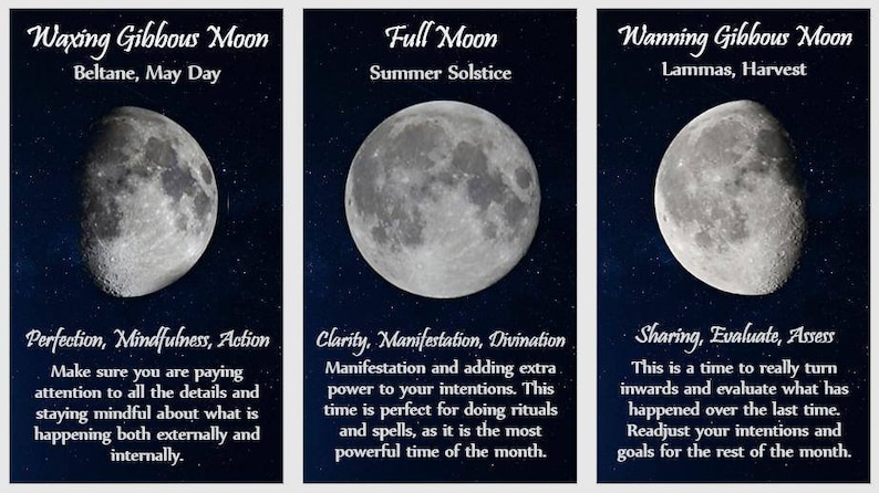 Astrology and Zodiac Oracle Deck. Horoscope Predictions - Etsy