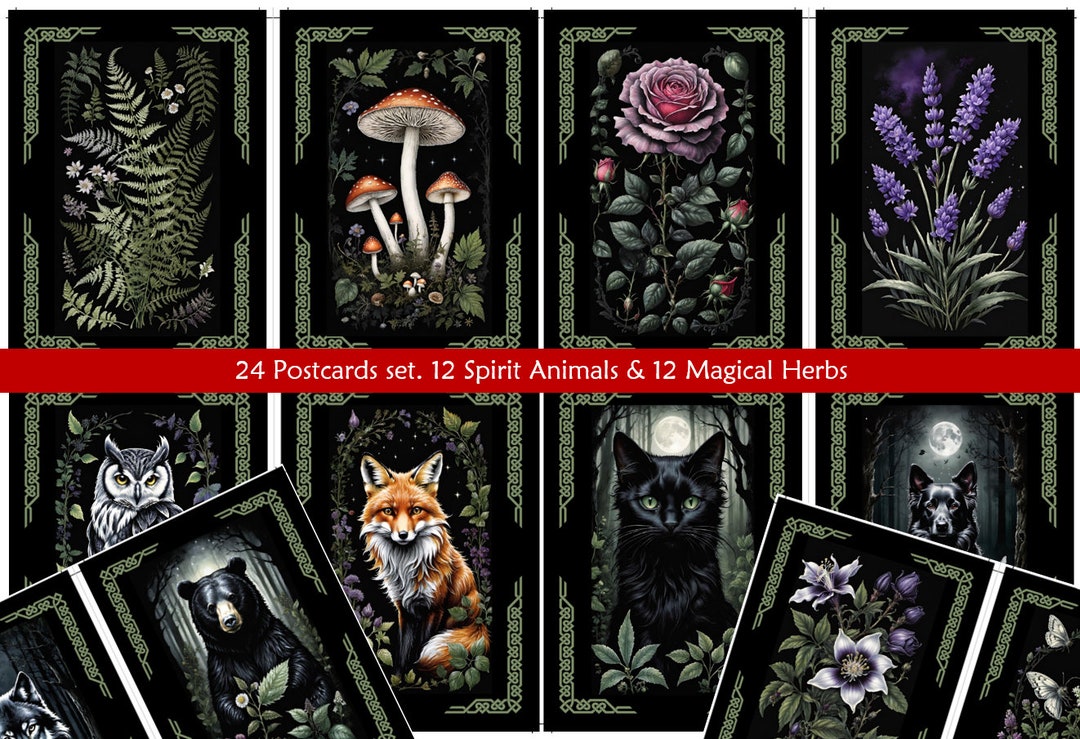 24 Magic Postcards Set. Witchcraft Postcards - Etsy