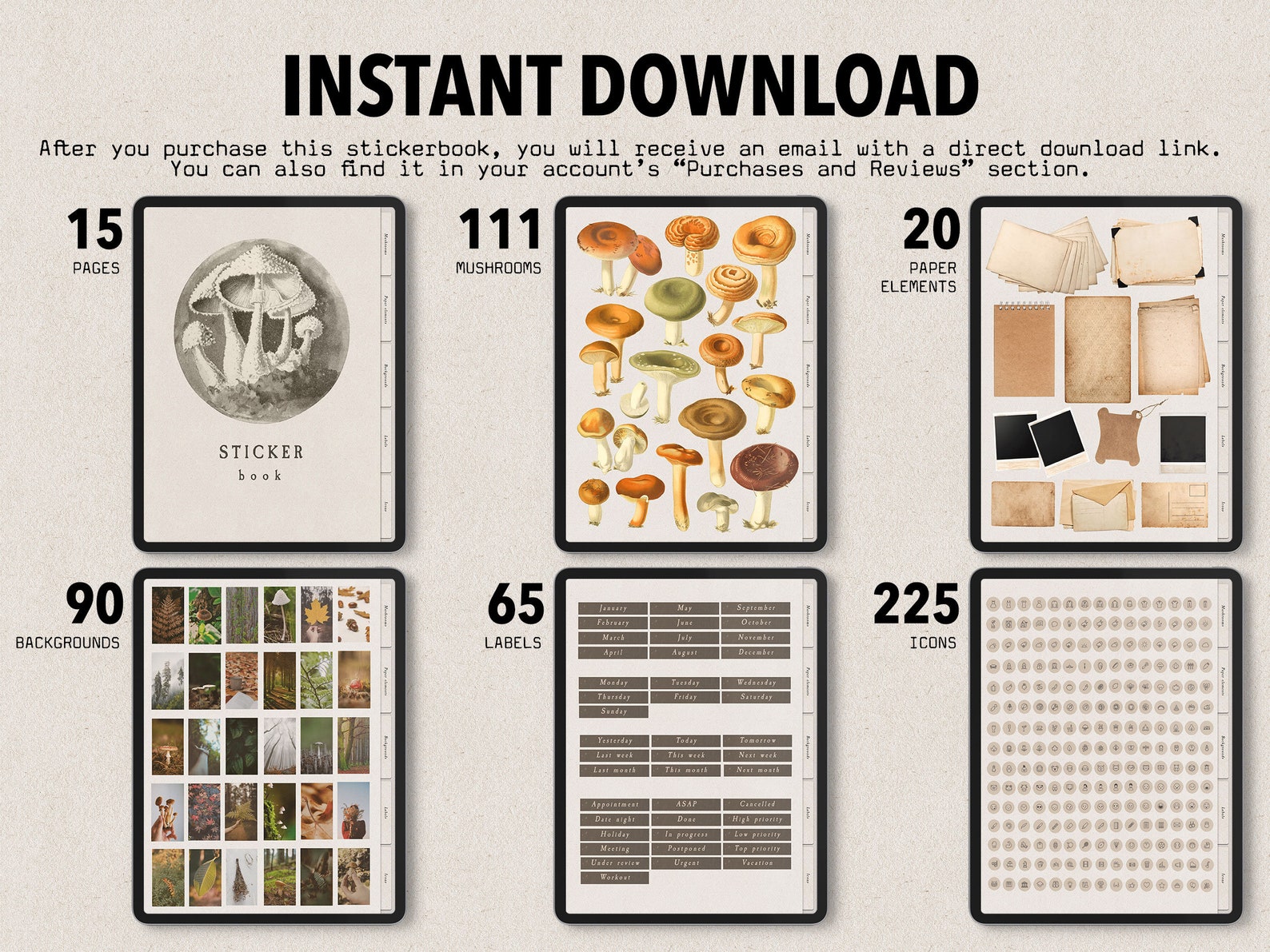 Cottagecore / Light Academia Digital Planner Stickers - Vintage ...