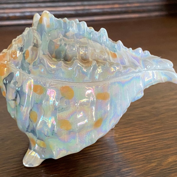 Rare Sea Shells - Etsy