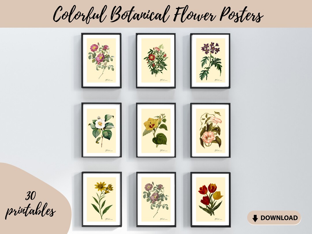 Colorful Botanical Flower Posters Bundle - Floral Wall Art Prints - 30 ...