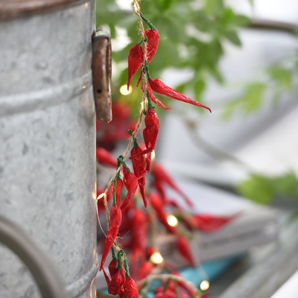 Indoor String Lights - Etsy