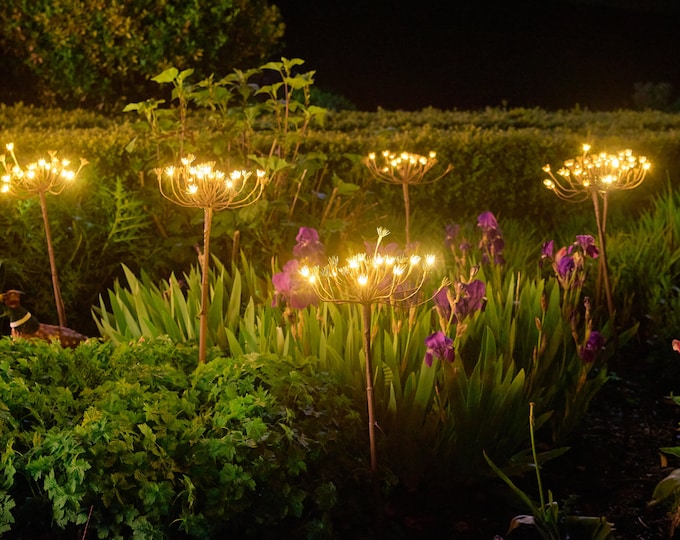 Solar Wild Fennel Light - Etsy
