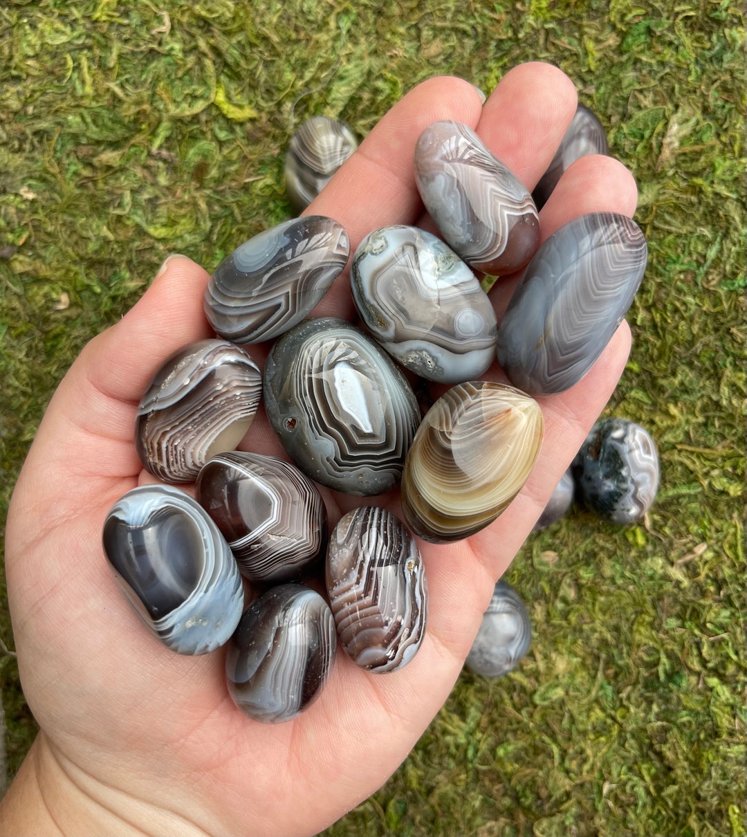 Botswana Agate Tumbles YOU CHOOSE With Asterisms - Etsy