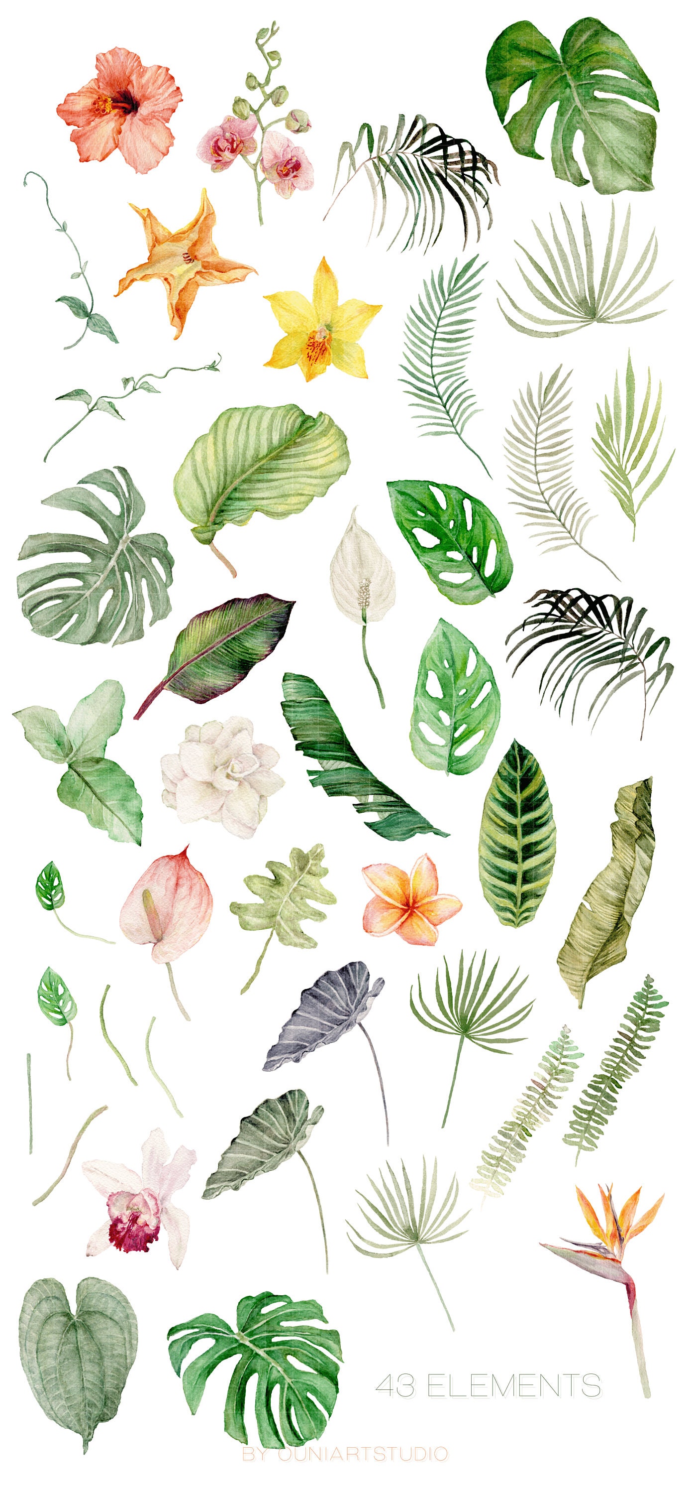 Tropical Watercolor Floral Clipart-watercolor Tropical Bouquet-tropical ...