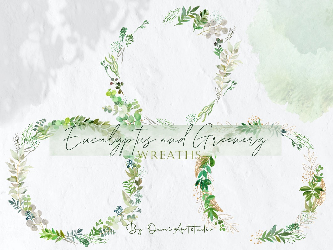 Watercolor Eucalyptus Wreath Clipart, Botanical Greenery Frame (PNG ...