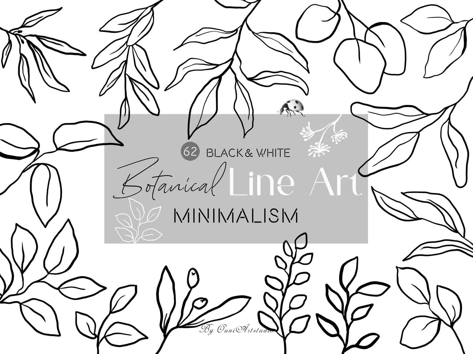 Botanical Line Art Clipart, Botanical Clipart, Floral Line Art, Leaves ...