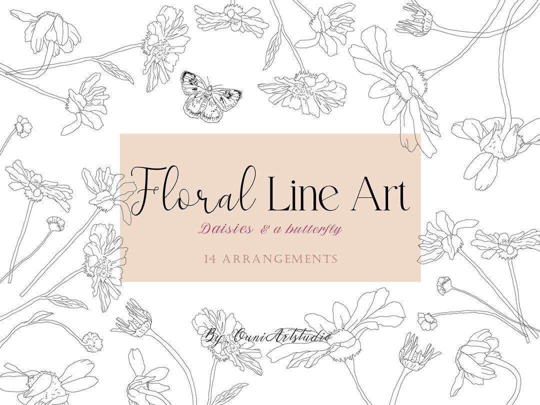 Daisies PNG, Daisy Line Art, Floral Clipart, Botanical Clipart ...