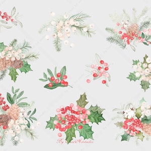 Watercolor Holly Berry Clipart, Watercolor Christmas Clipart ...