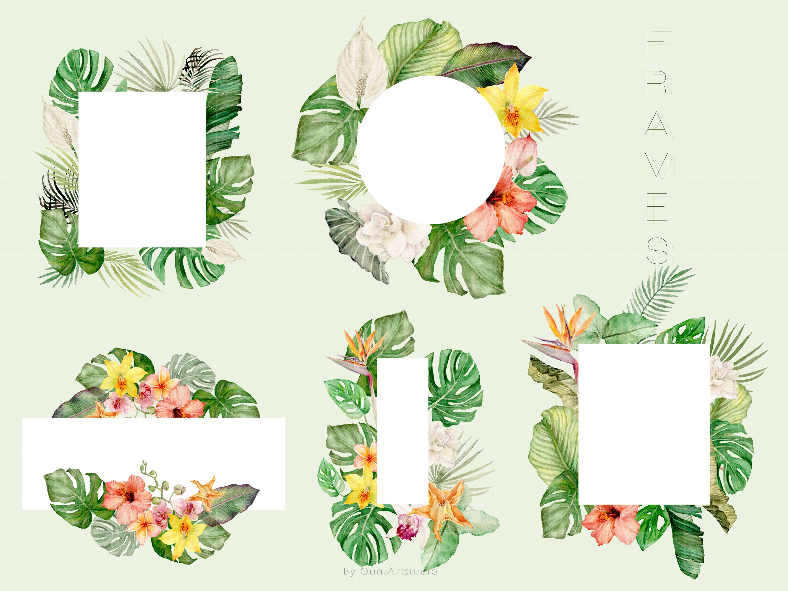Tropical Watercolor Floral Clipart-watercolor Tropical Bouquet-tropical ...