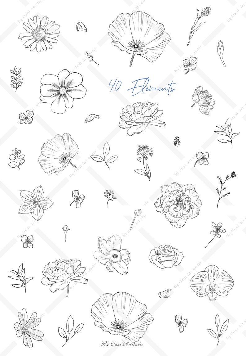 Floral Line Art Clipart, Peony Line Art, Black and White Flower Line ...