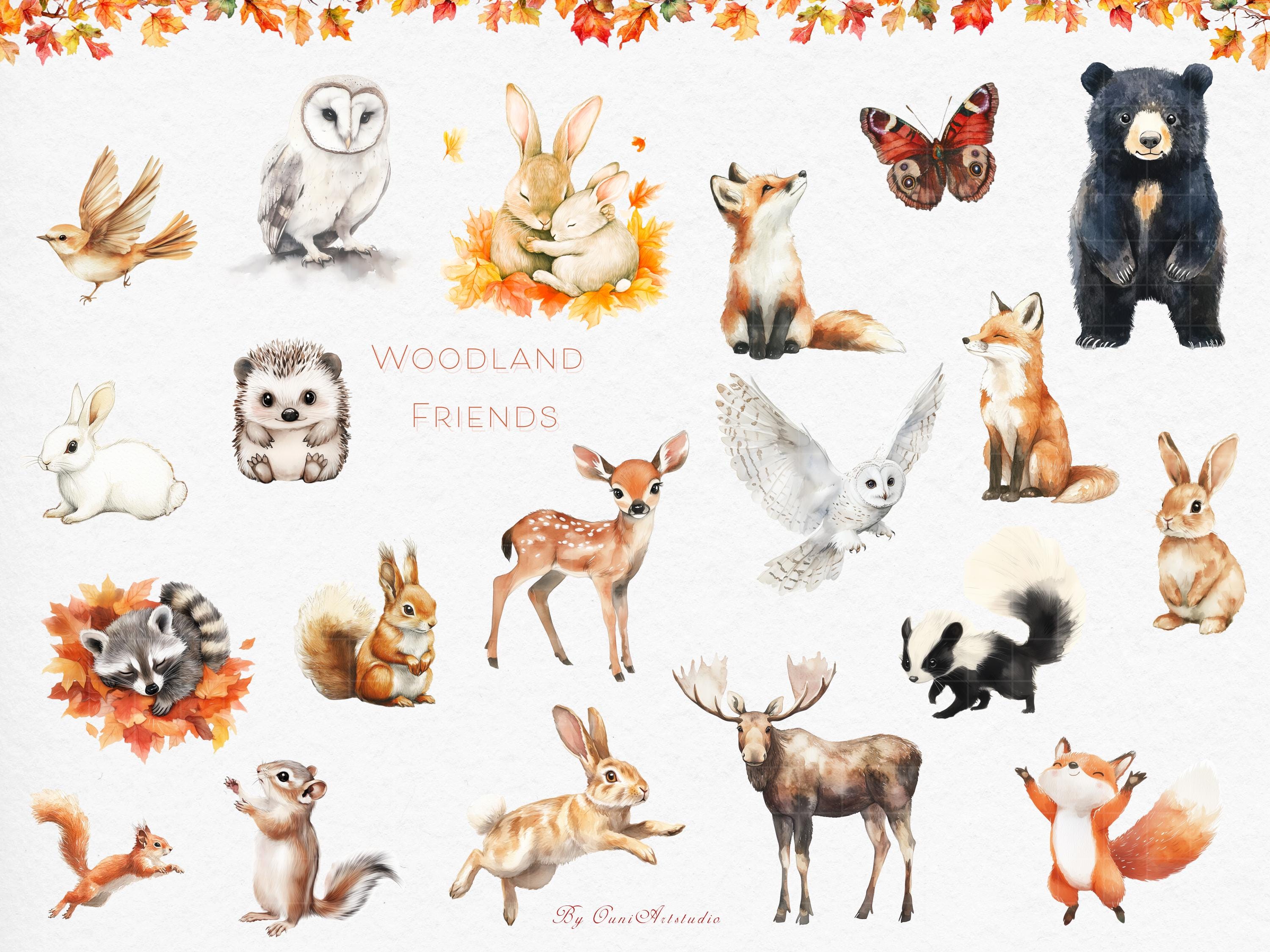 Woodland Clipart, Woodland Animals, Watercolor Forest Animal Clipart ...
