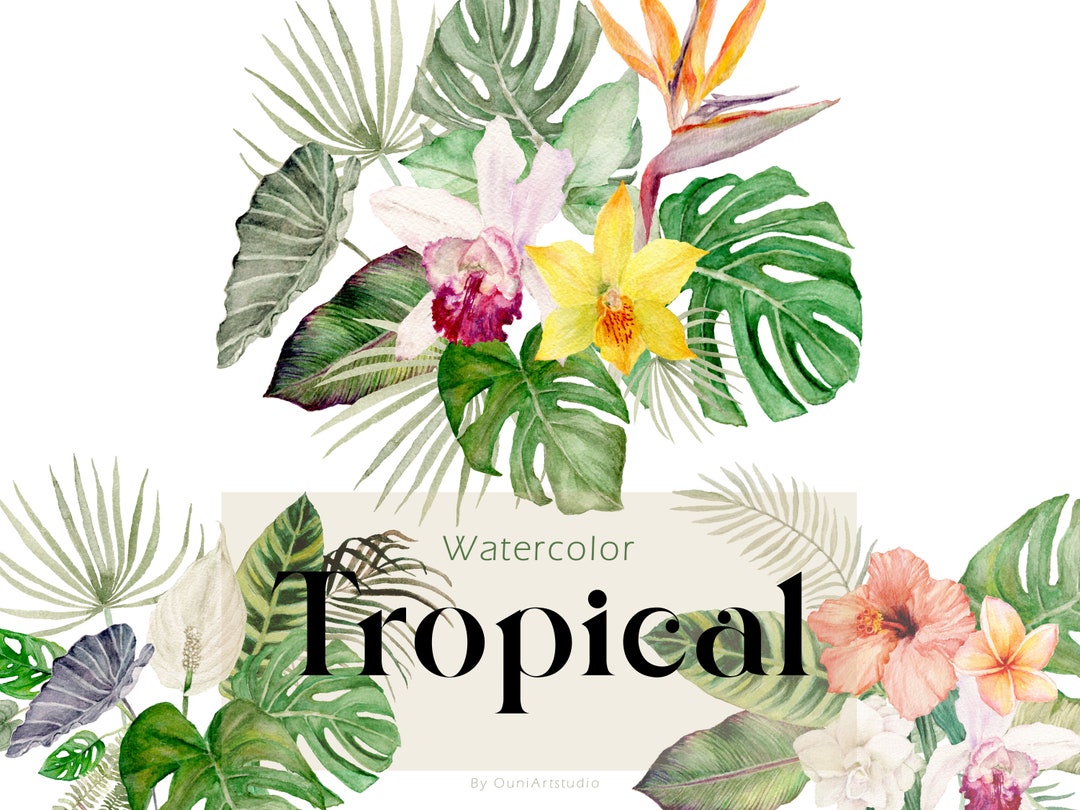 Tropical Watercolor Floral Clipart-watercolor Tropical Bouquet-tropical ...