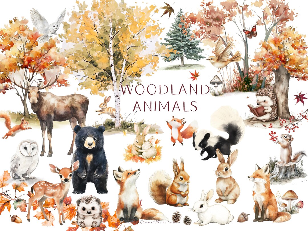 Woodland Clipart, Woodland Animals, Watercolor Forest Animal Clipart ...