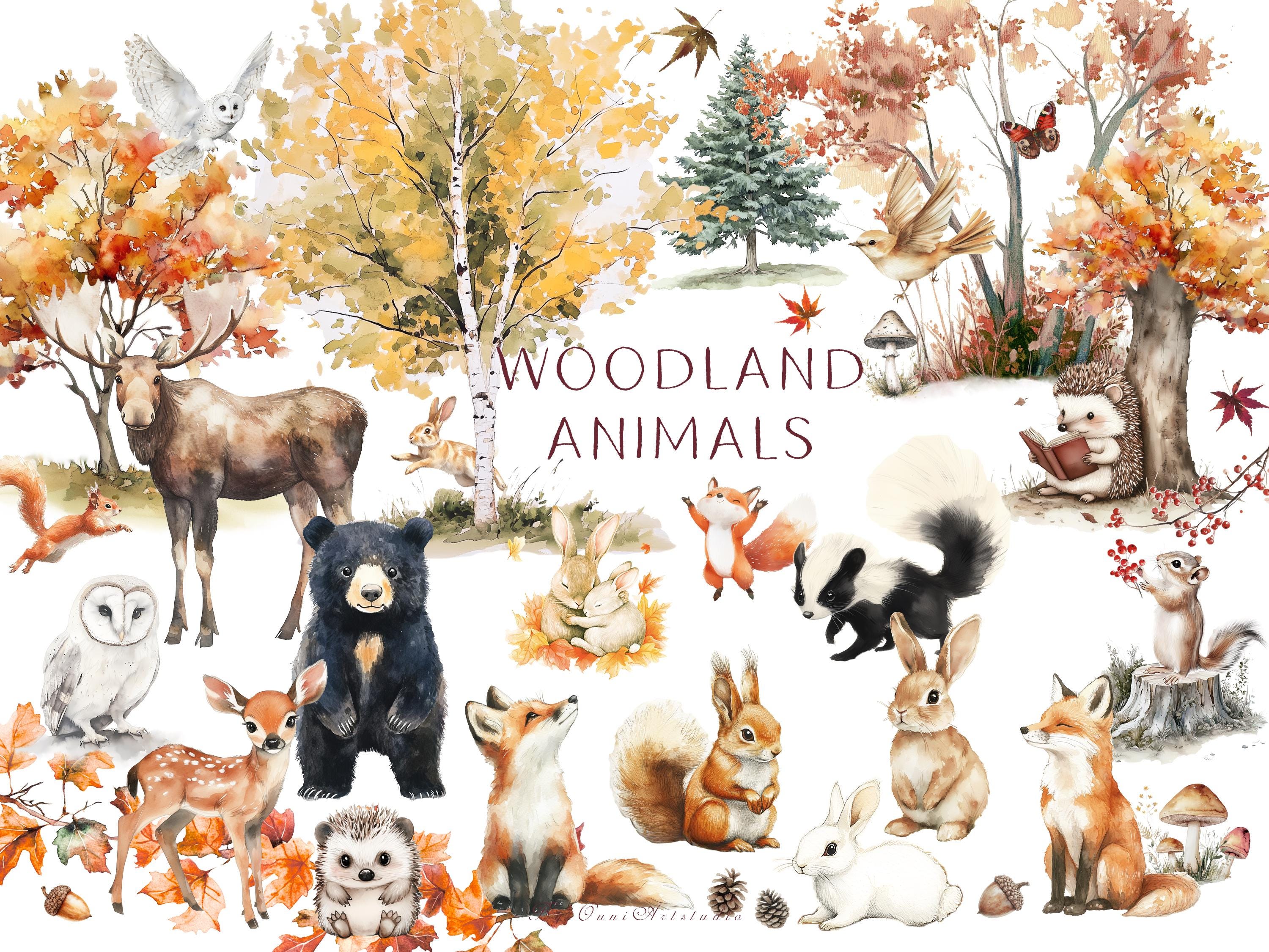 Woodland Clipart, Woodland Animals, Watercolor Forest Animal Clipart ...