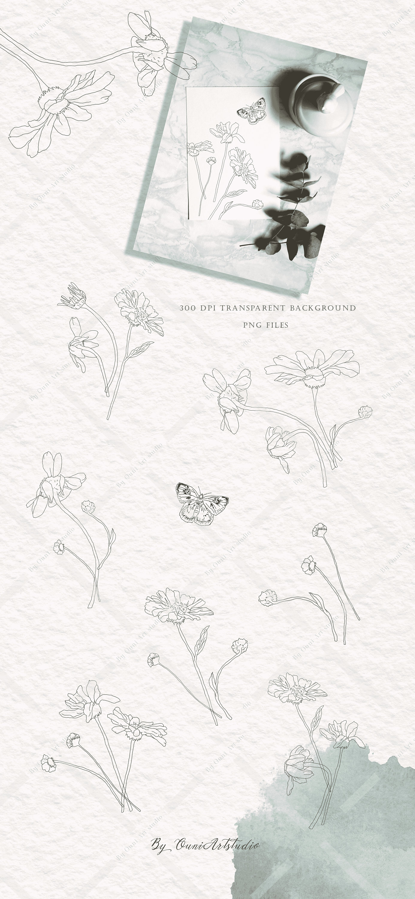 Daisies PNG, Daisy Line Art, Floral Clipart, Botanical Clipart ...