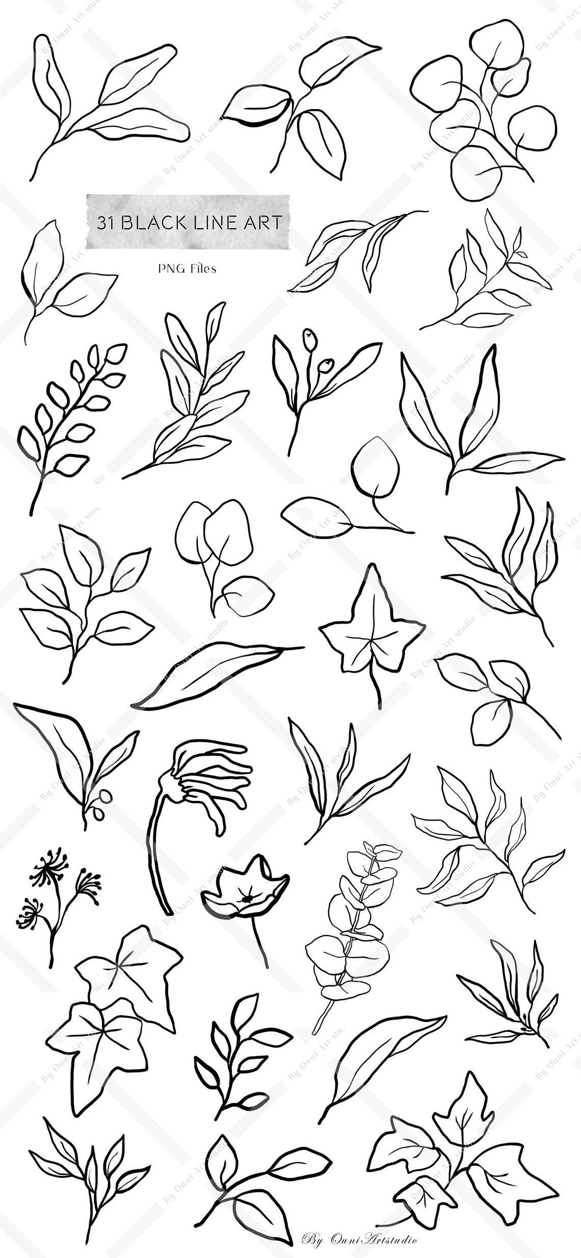 Botanical Line Art Clipart, Botanical Clipart, Floral Line Art, Leaves ...
