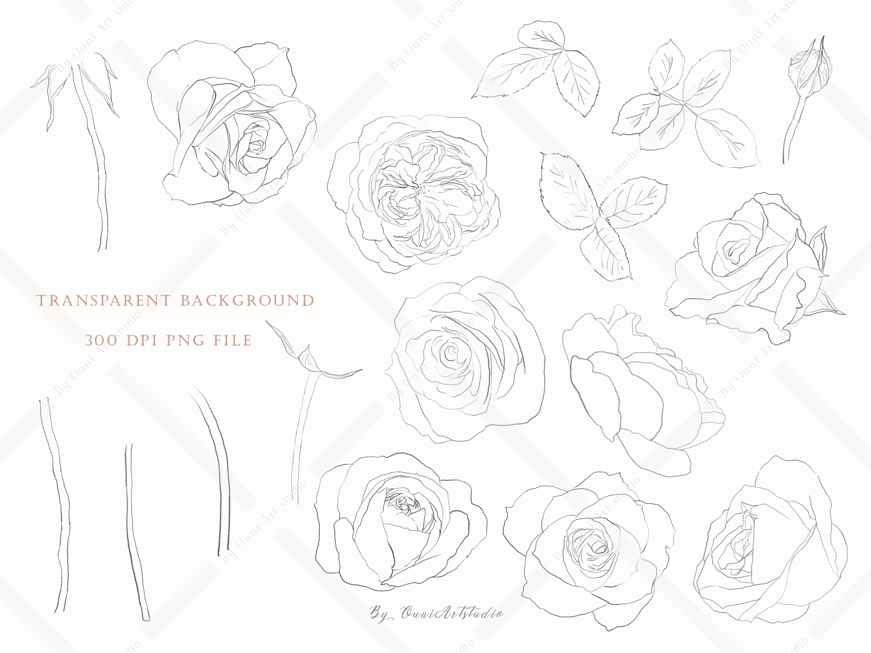 Rose Line Art, Line Art Floral Clipart, Botanical Clipart, Hand Drawn ...
