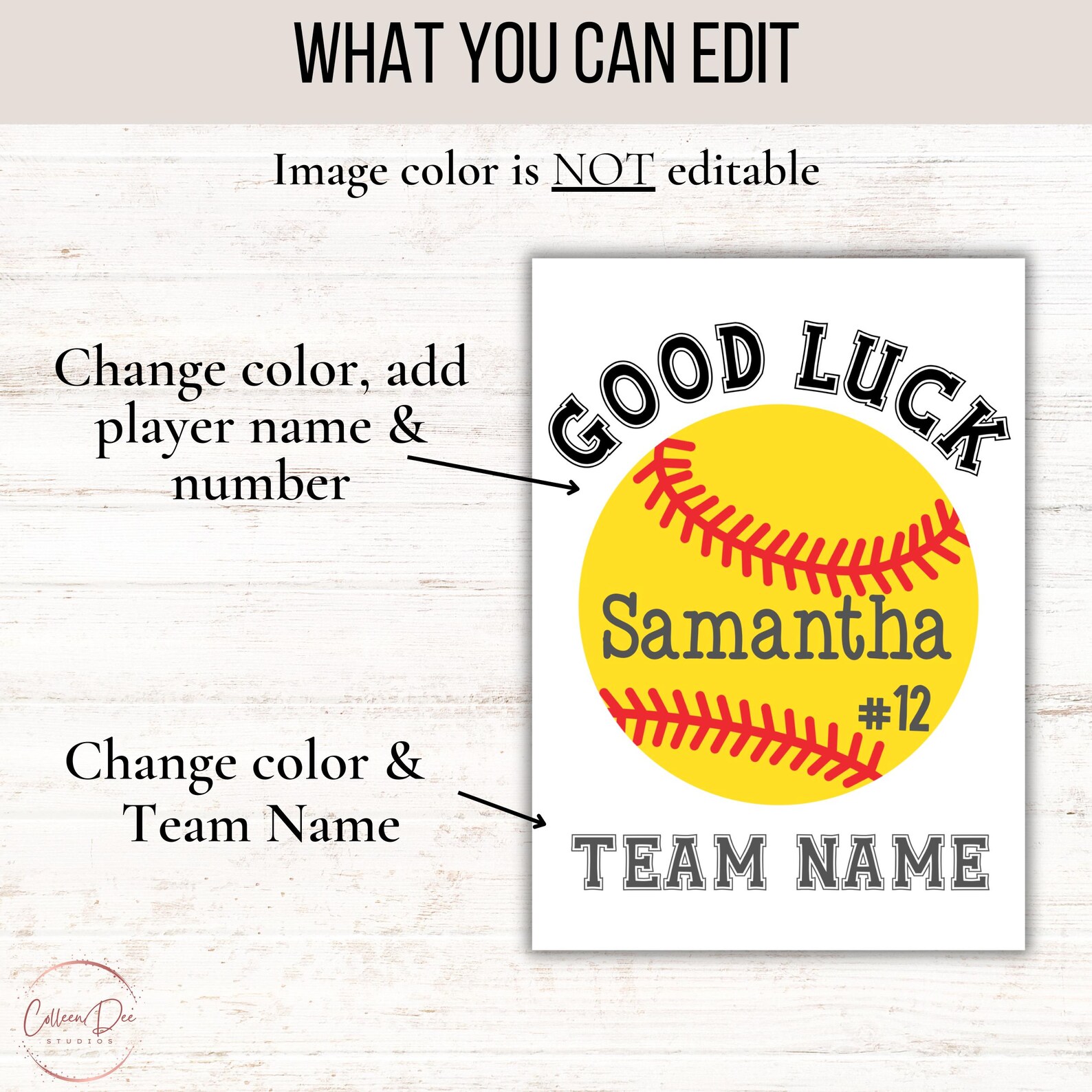 Editable Softball Good Luck Printable Sign | Softball Team Good Luck ...