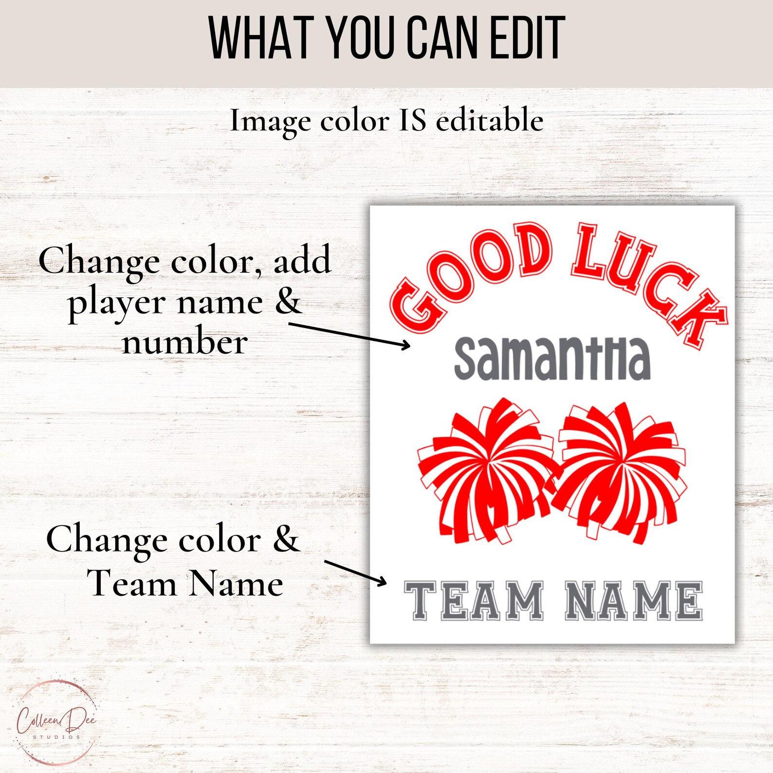 Editable Poms Cheer Good Luck Printable Sign | Poms Team Good Luck ...