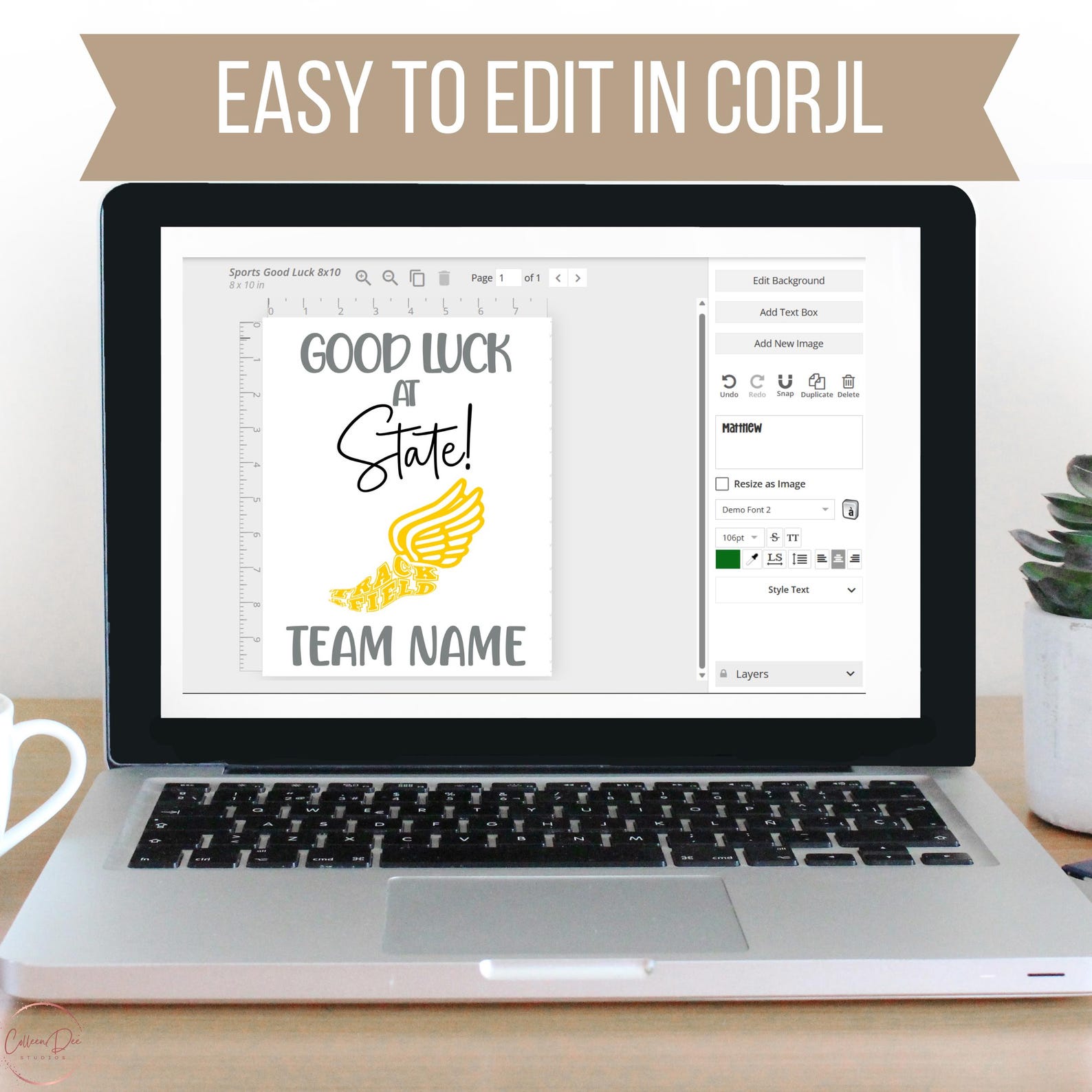 Editable TRACK Good Luck at State Printable Tag | Track & Field State ...