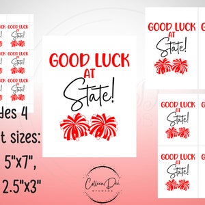 CHEER POM POMS Good Luck at State! Printable Tag | Team Good Luck Tag ...