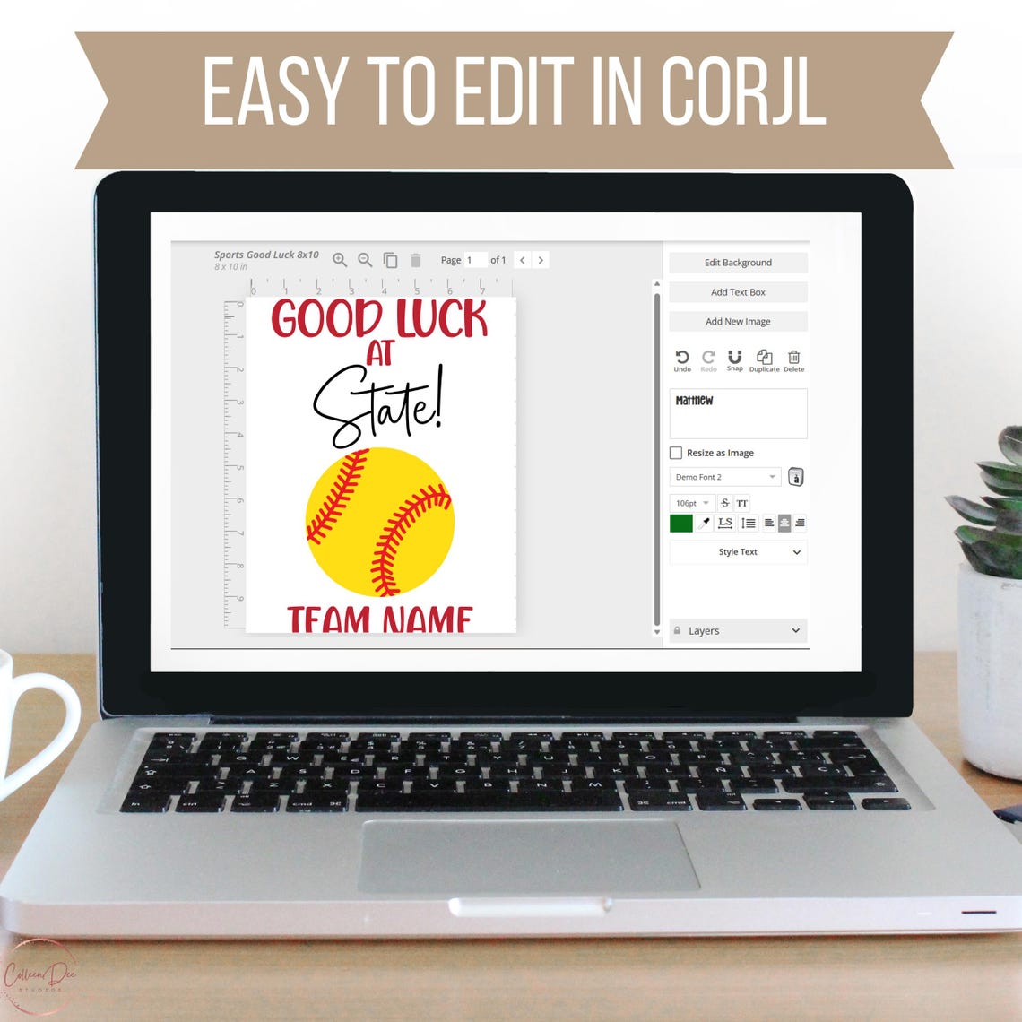 Editable SOFTBALL Good Luck at State Printable Tag | Softball Good Luck ...