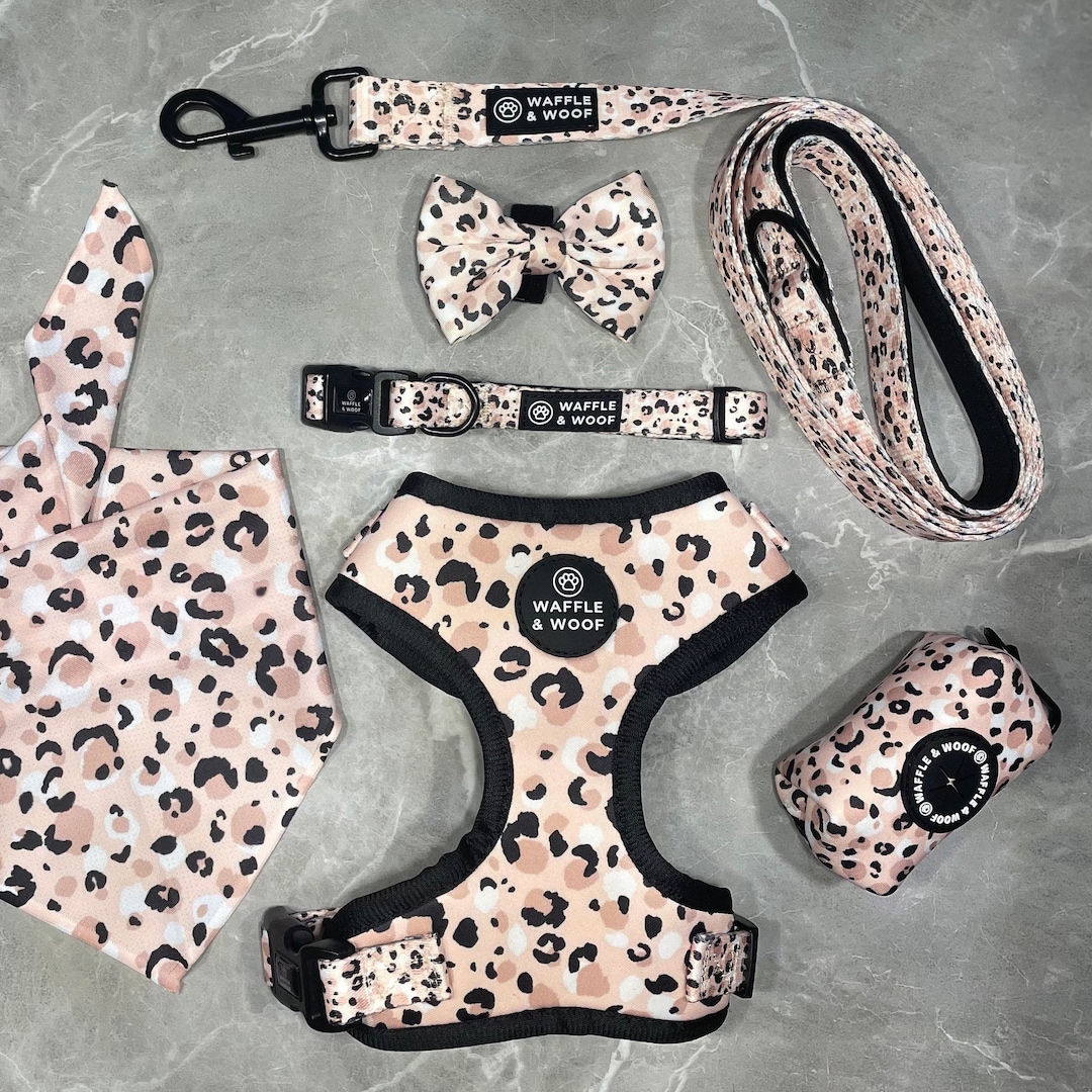 Dog Harness Bundle - Leopard Print Dog Accessory Bundle, Puppy Lead ...