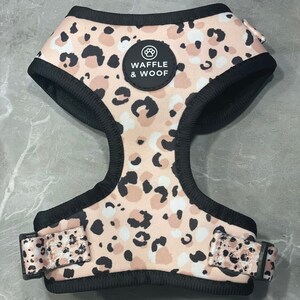 Dog Harness Bundle - Leopard Print Dog Accessory Bundle, Puppy Lead ...