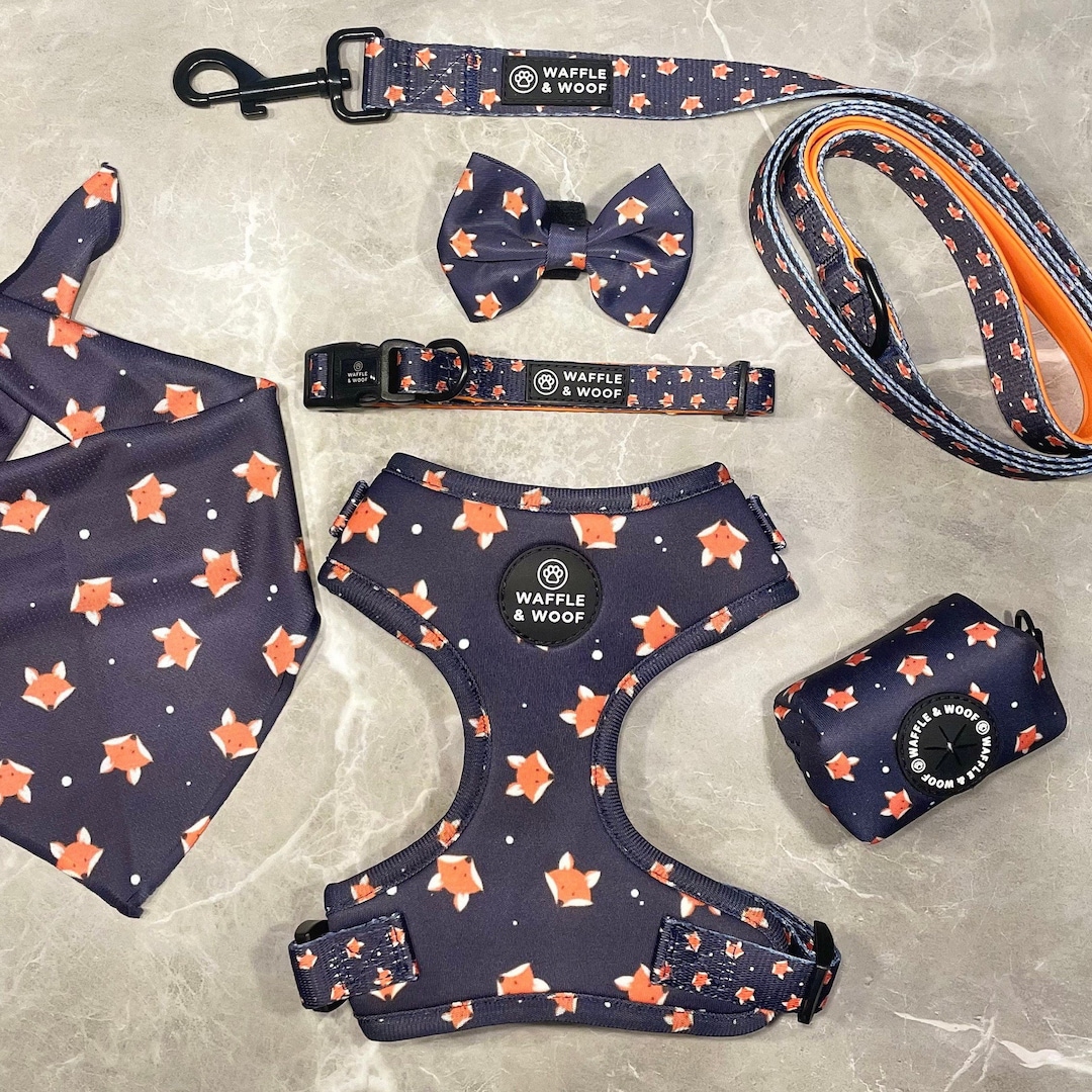 Dog Harness Bundle - Blue Fox Print Dog Accessory Bundle, Puppy Lead ...
