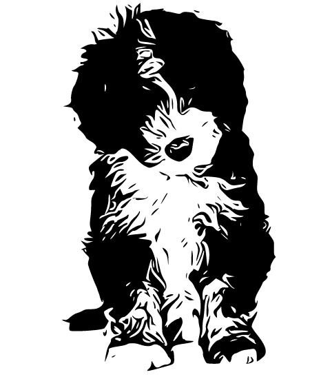 Doodle Digital PNG Files - Etsy