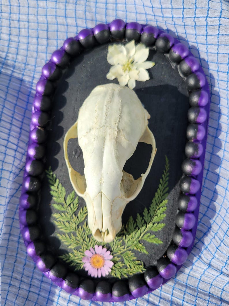Skull With Flowers - Etsy