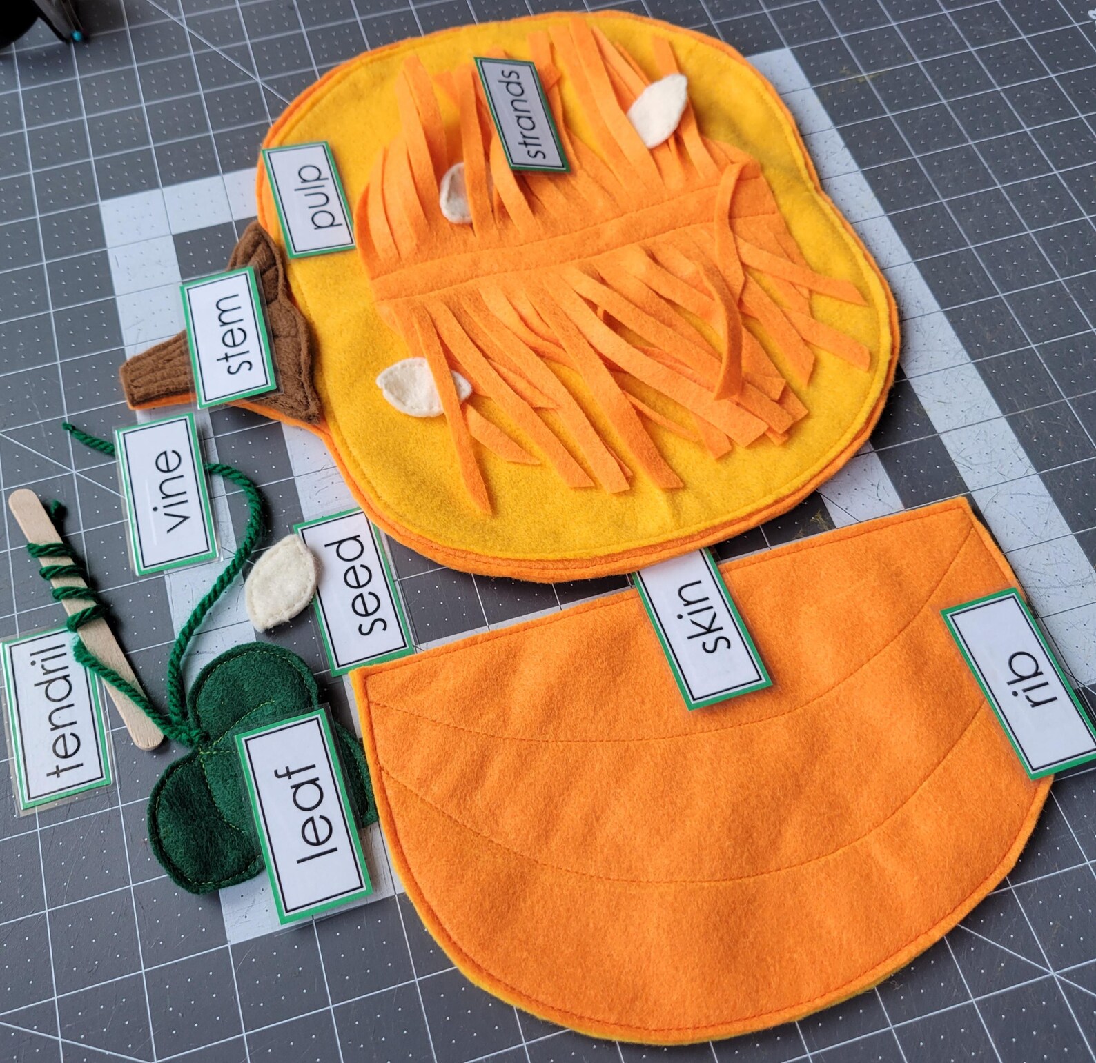 Parts of a Pumpkin Felt Puzzle, Squash Fruit Life Cycle, Montessori ...