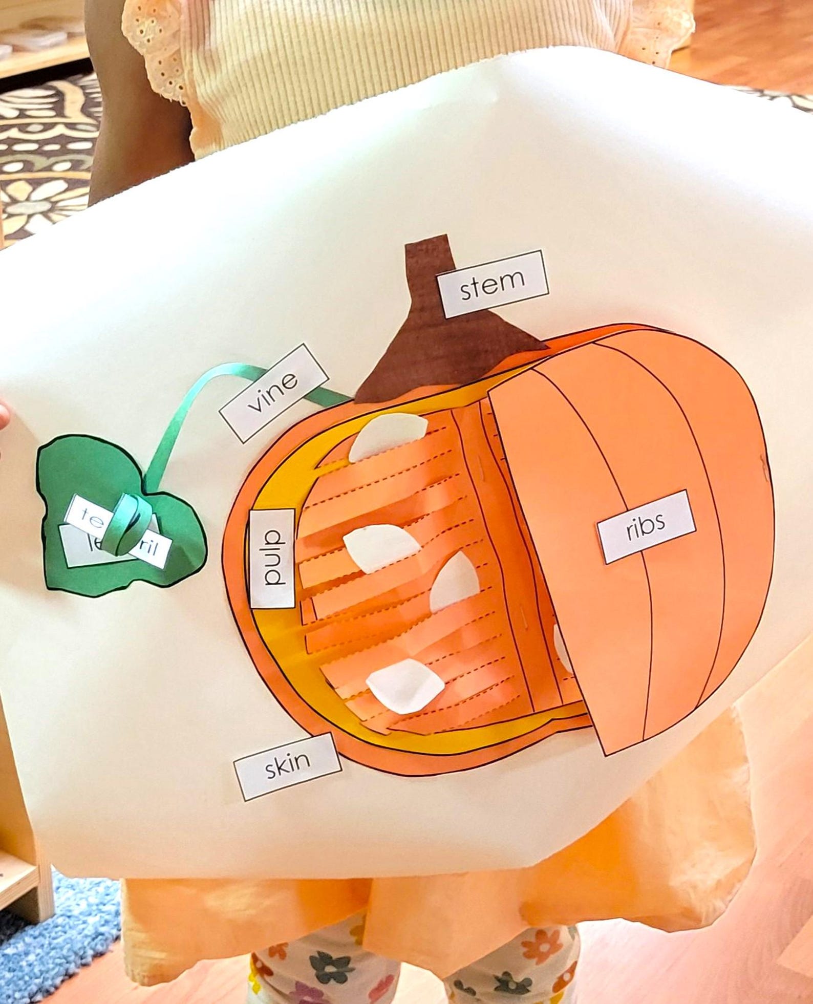 Parts of a Pumpkin Printable Worksheet, Montessori Prek Science ...