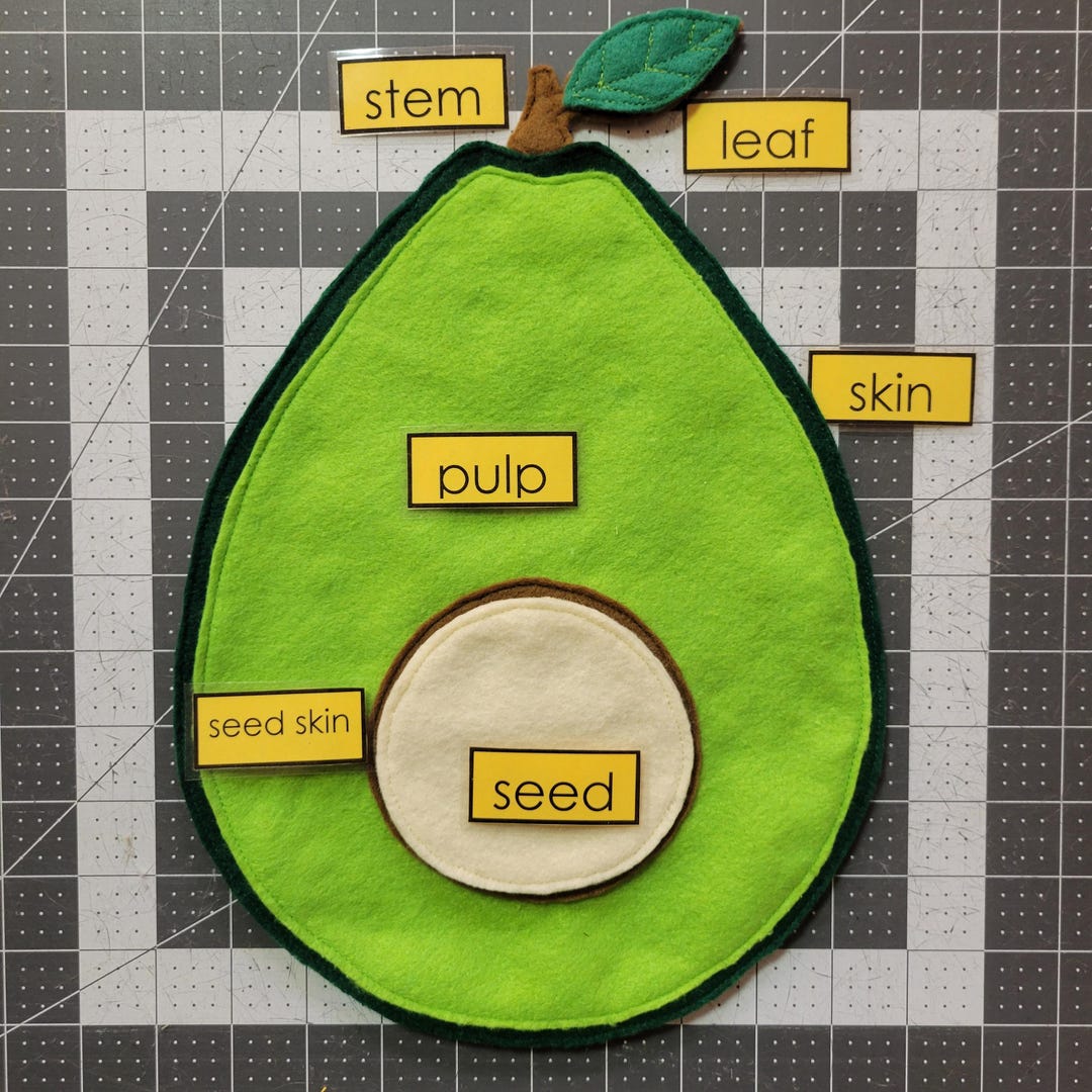 Parts of an Avocado Felt Puzzle, Alligator Pear Fruit Life Cycle ...