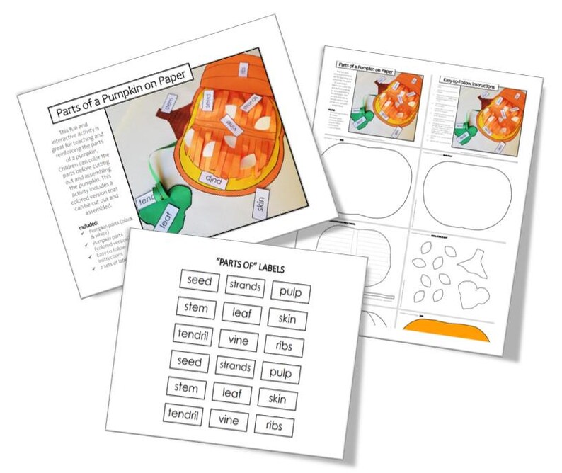 Parts of a Pumpkin Printable Worksheet, Montessori Prek Science ...