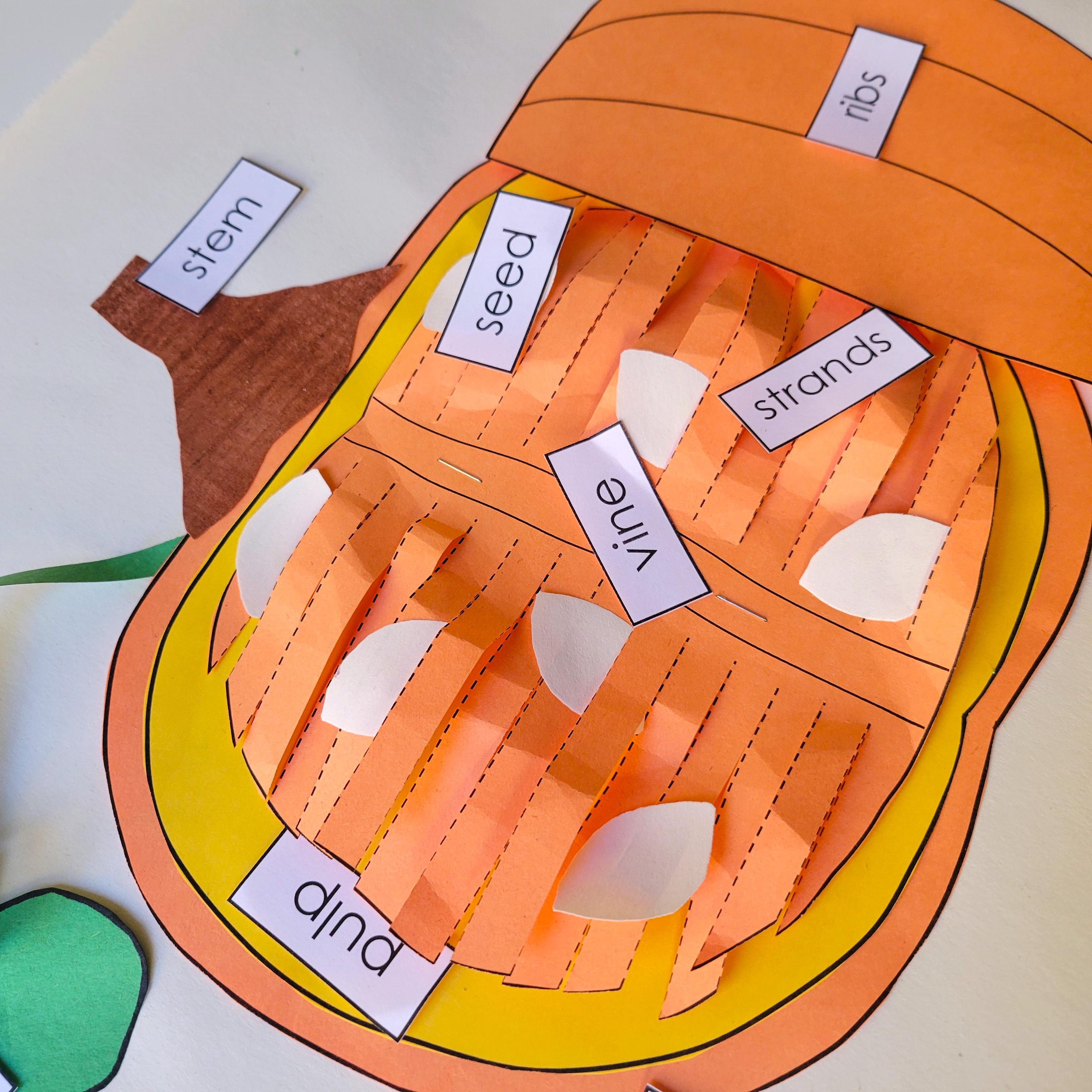 Parts of a Pumpkin Printable Worksheet, Montessori Prek Science ...