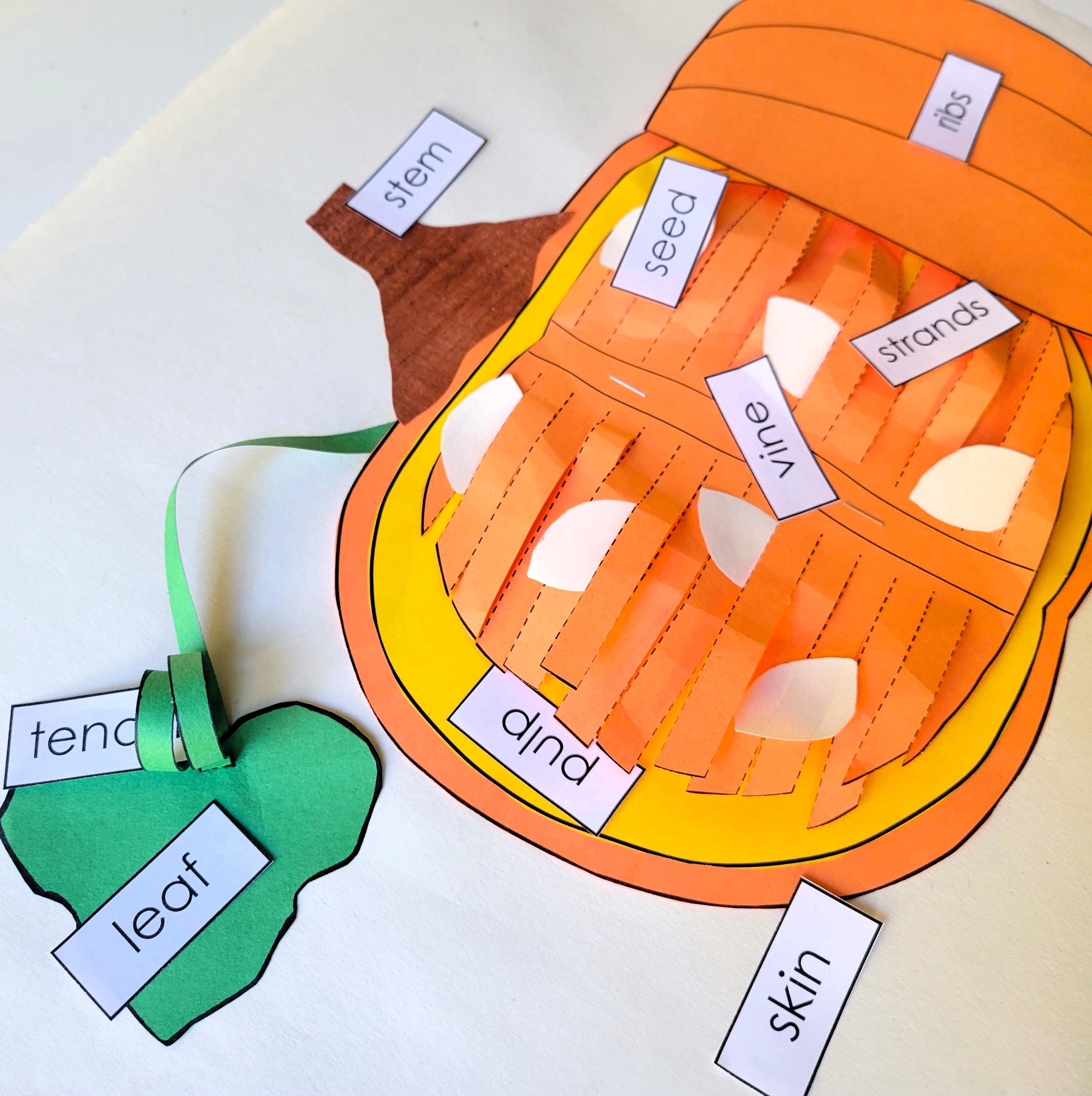 Parts of a Pumpkin Printable Worksheet, Montessori Prek Science ...