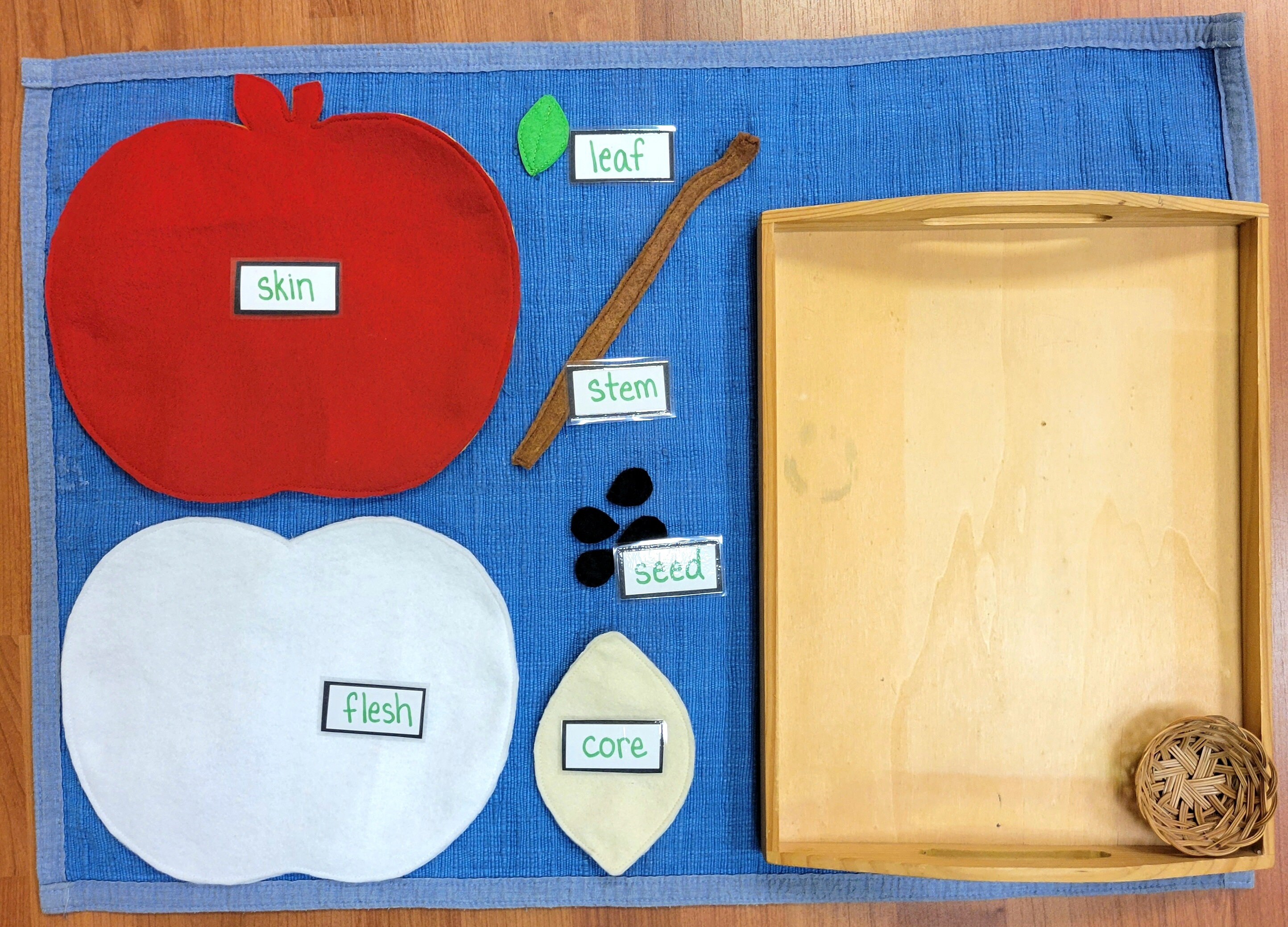 Montessori Felt Apple Puzzle, Parts of an Apple Puzzle, Montessori ...