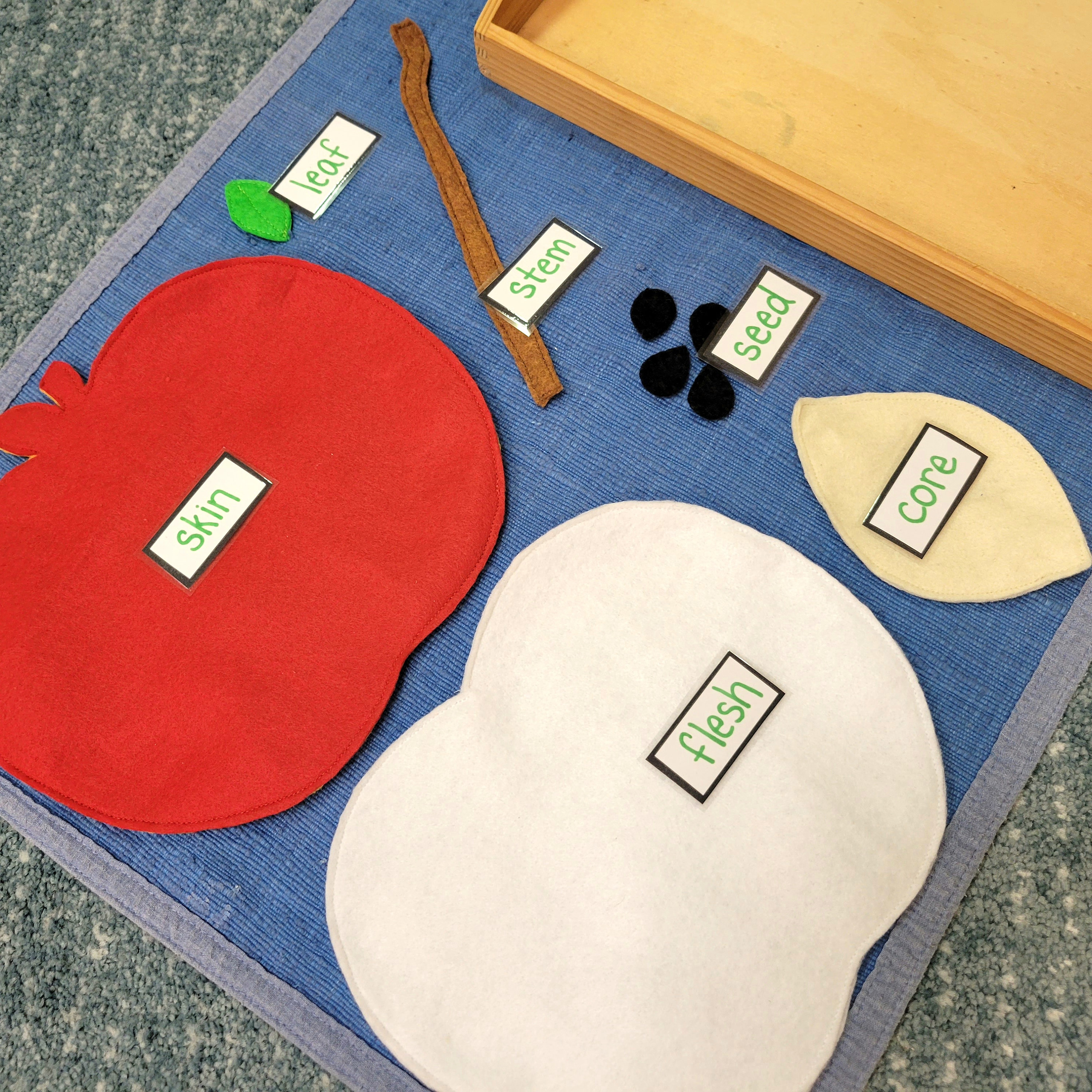 Montessori Felt Apple Puzzle, Parts of an Apple Puzzle, Montessori ...
