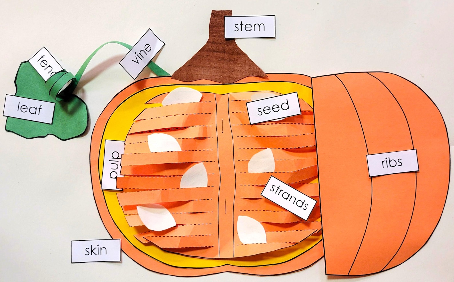 Parts of a Pumpkin Printable Worksheet, Montessori Prek Science ...