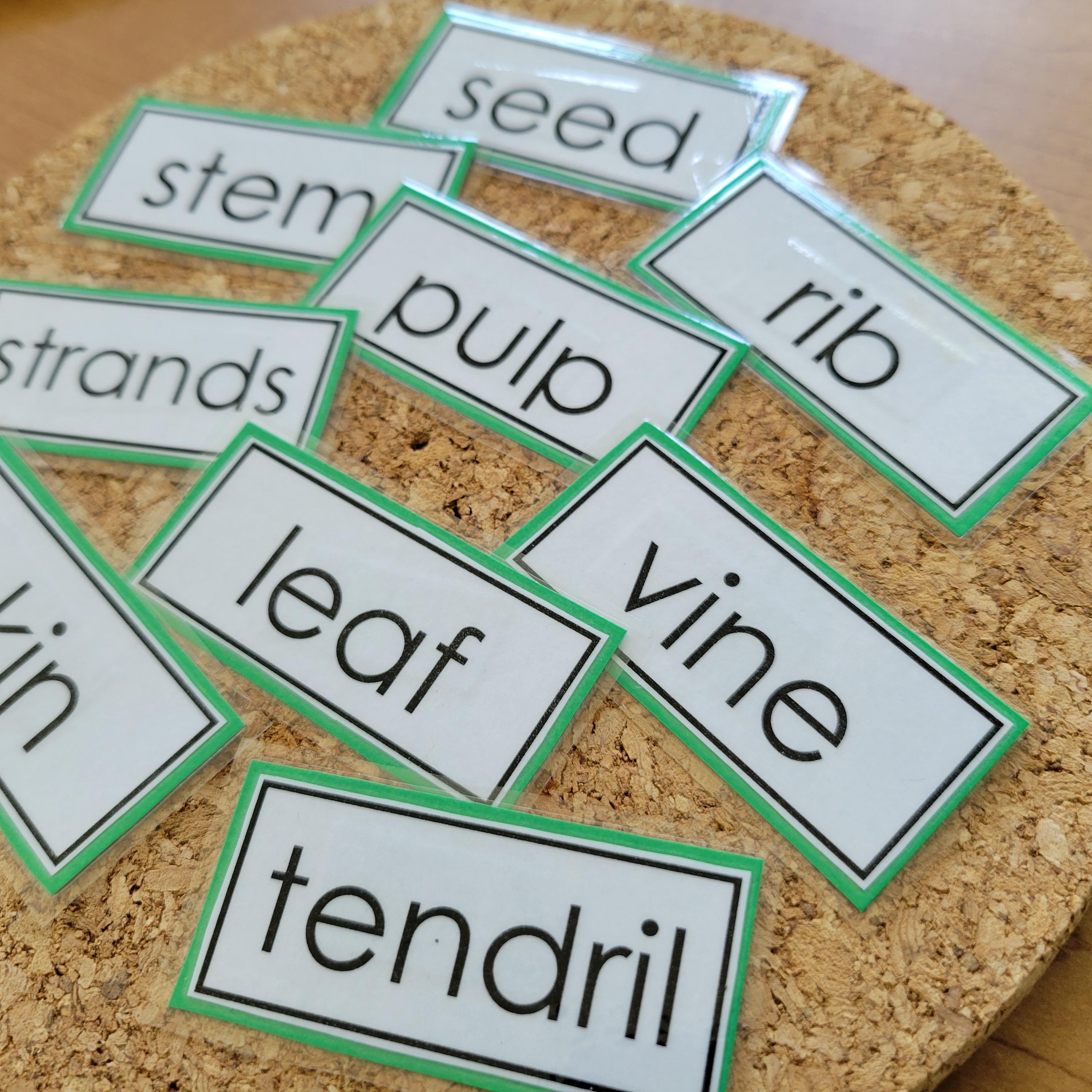 Parts of a Pumpkin Felt Puzzle, Squash Fruit Life Cycle, Montessori ...