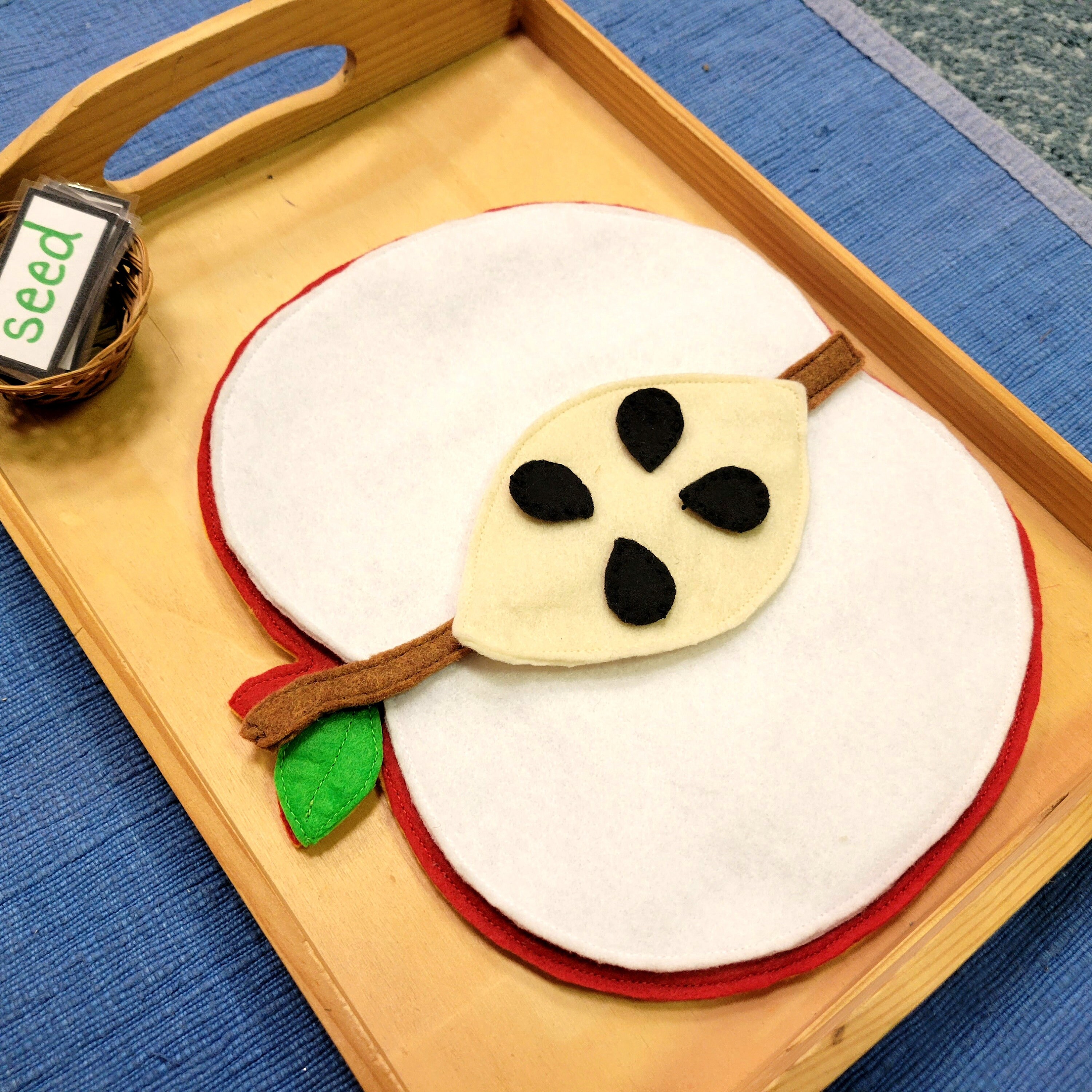 Montessori Felt Apple Puzzle, Parts of an Apple Puzzle, Montessori ...